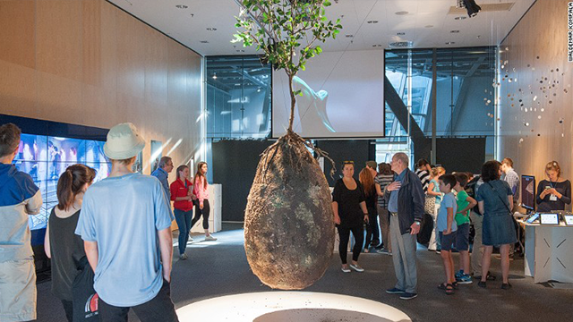 The biodegradable burial pod that turns your body into a tree - Arizona ...